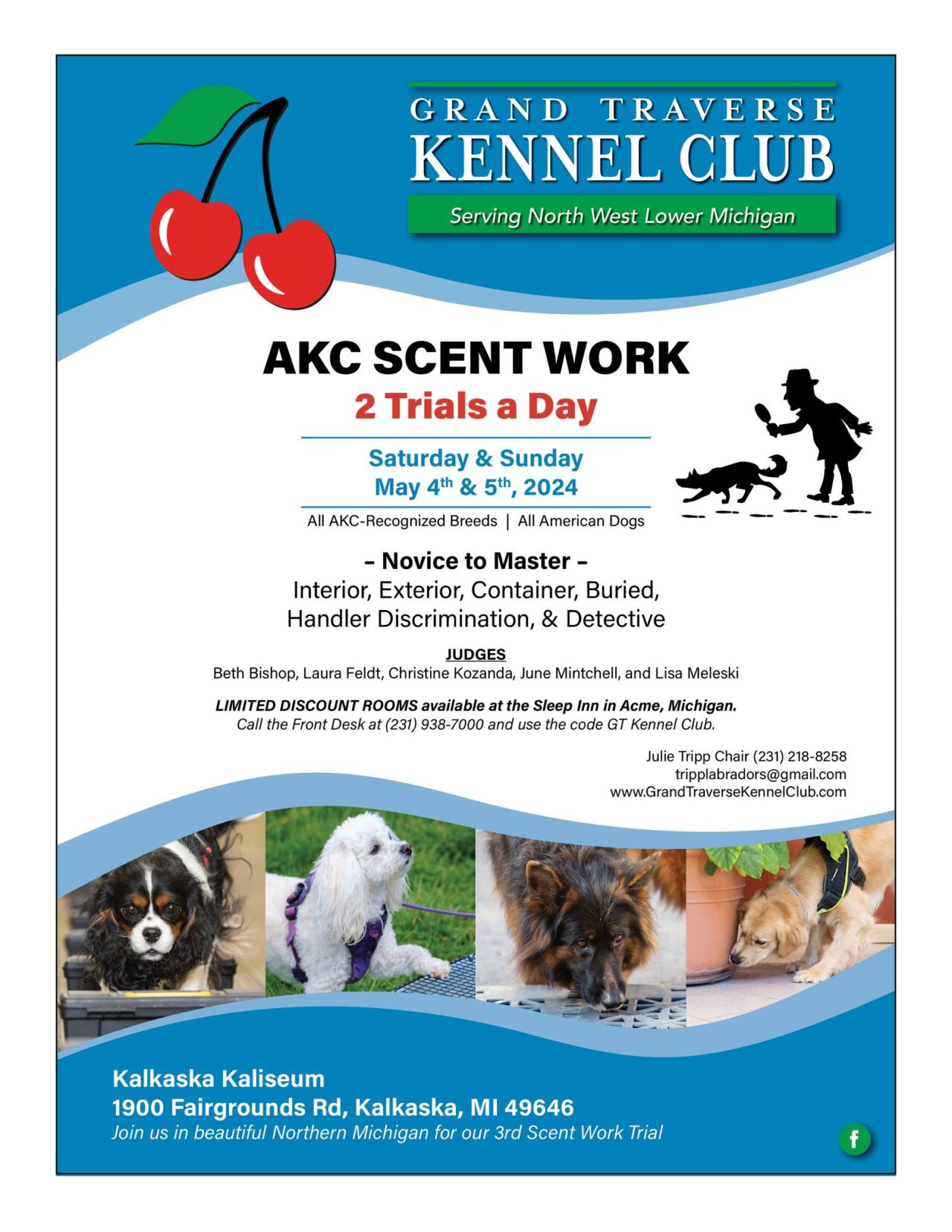 AKC Scent Work | Grand Traverse Kennel Club