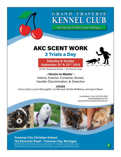 AKC Scent Work | Grand Traverse Kennel Club